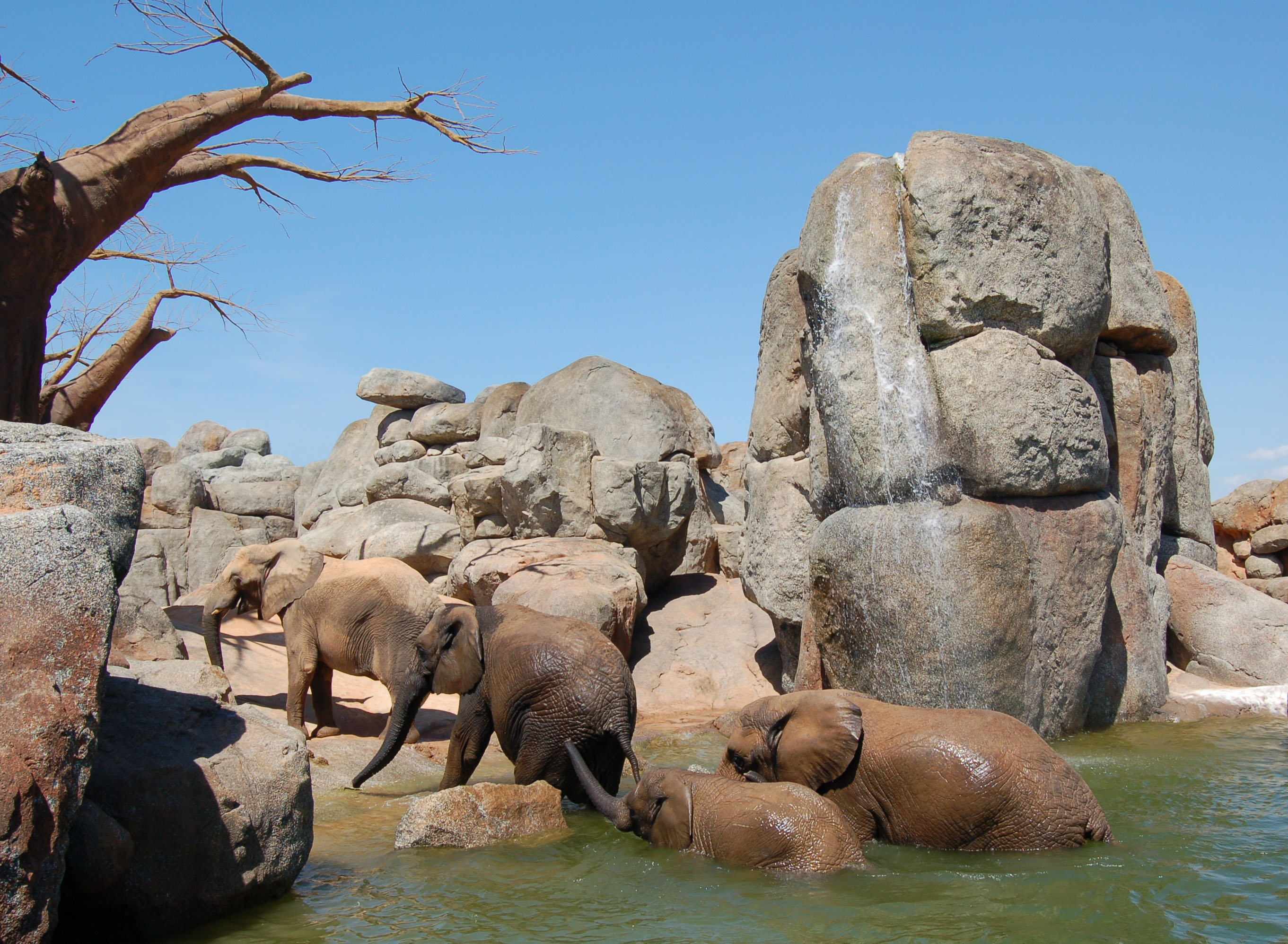 Bioparc Valencia - Valencia