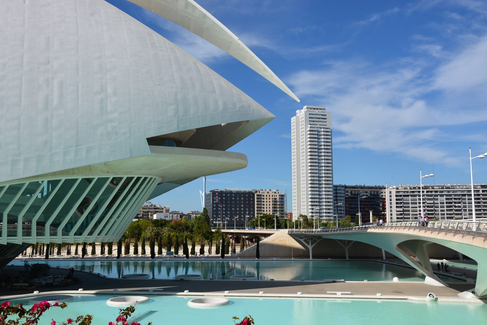 Valencia votata come la migliore città del mondo per viverci - Valencia